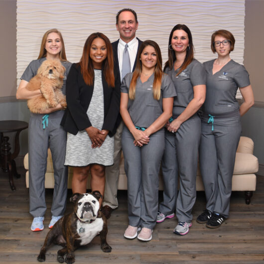Gitter Vein Institute