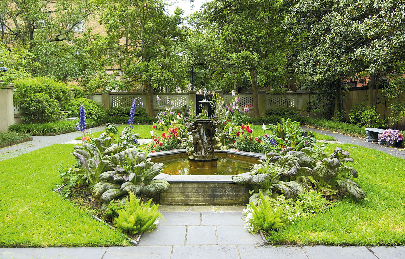 Savannah
