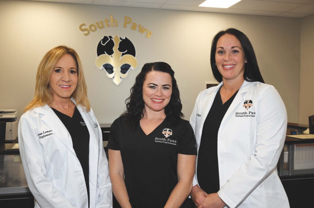 South Paws Veterinary Specialists