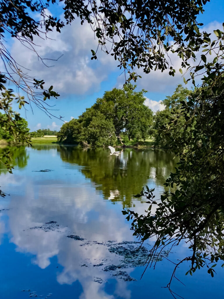 The Evolution of a Naturalist
