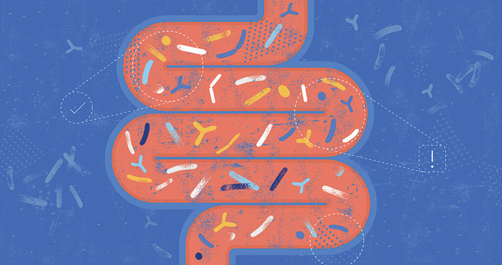 Gut Instincts