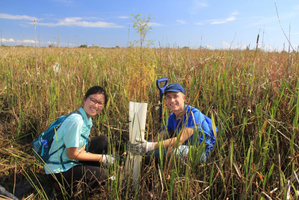 Pontchartrain Conservancy Applauds Mid-Barataria Sediment Diversion ...