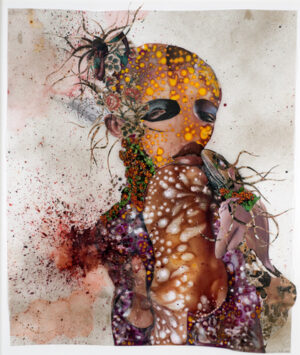 New Orleans Museum of Art to Present Major Survey of Wangechi Mutu