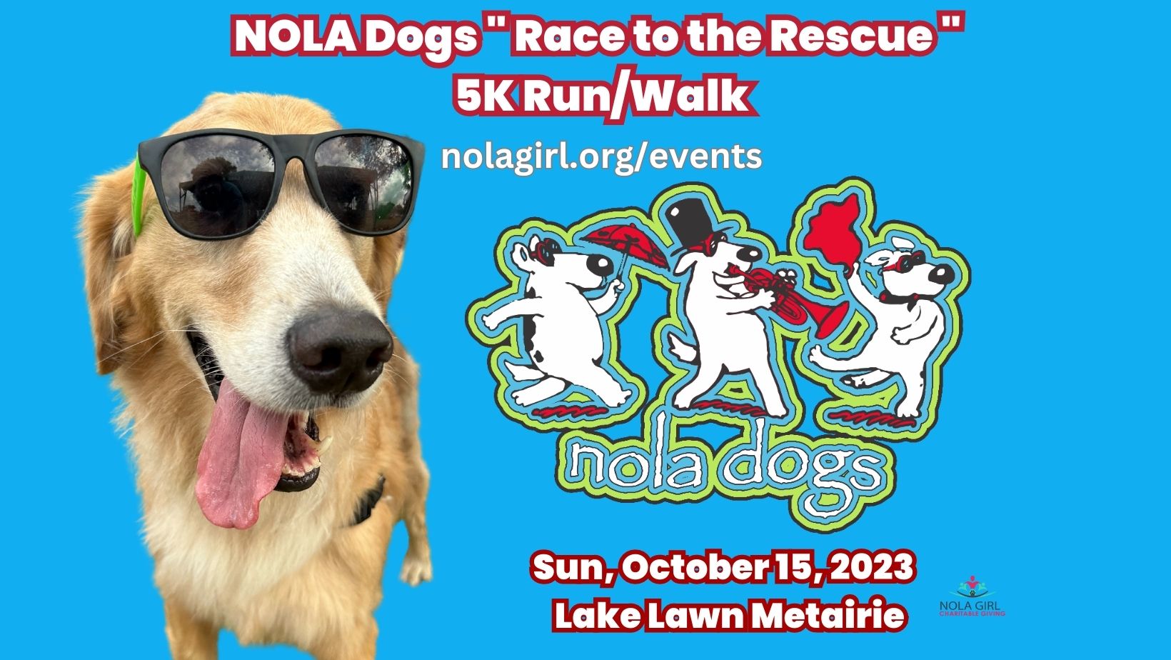 Heaven’s Pets to Host NOLA Dogs “Race to the Rescue” 5K Run/Walk and ...