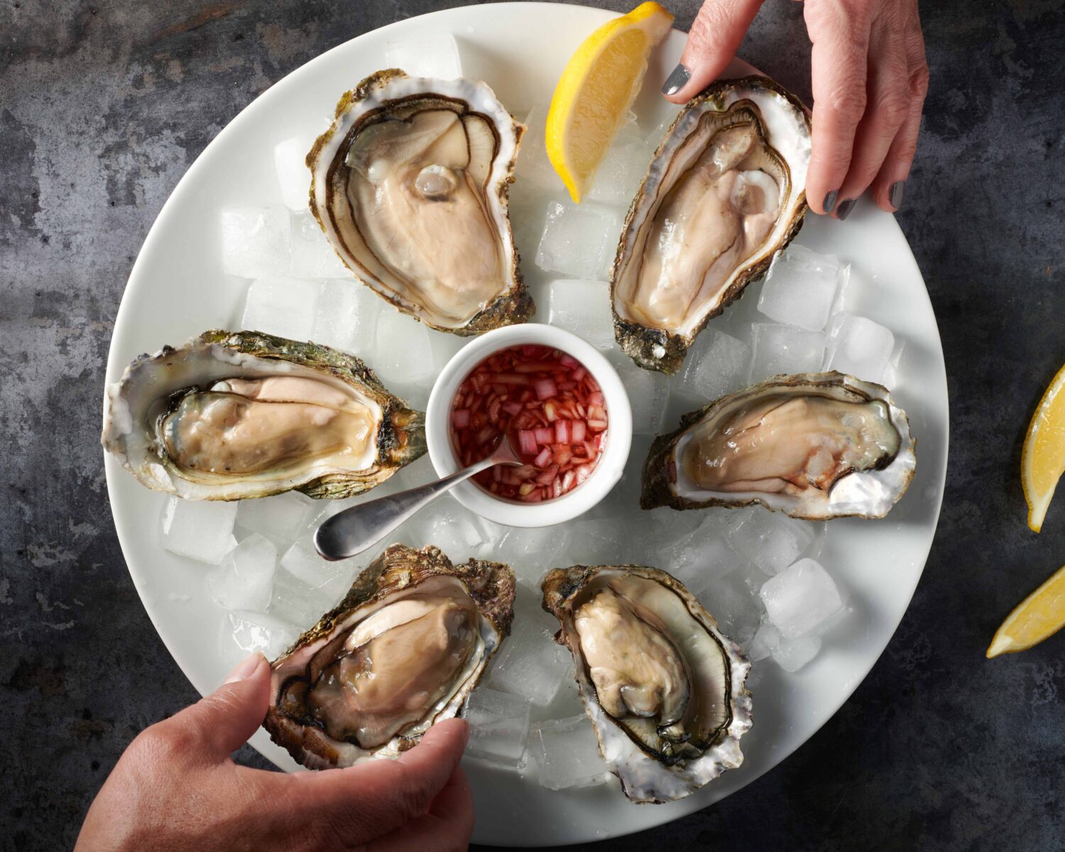 Oysters At Their Prime