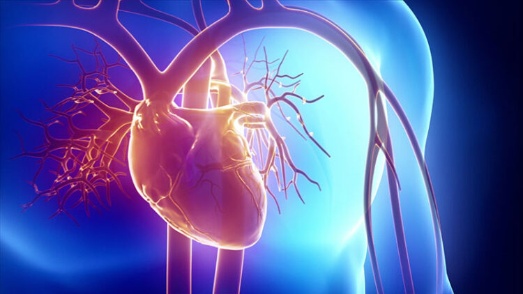 Thibodaux Regional’s Commitment to Excellent Heart Care