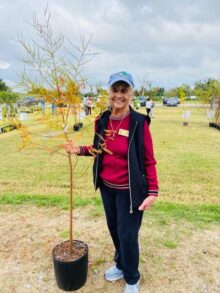 NOLA Tree Project Hosts the Big TREEsy Giveaway of 400 Trees