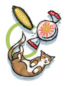 Modine Gunch: Constant Consonants