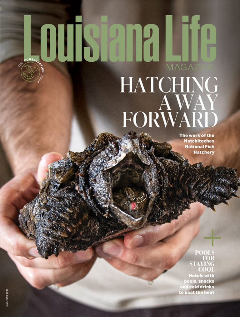 Louisiana Life - New Orleans Magazine