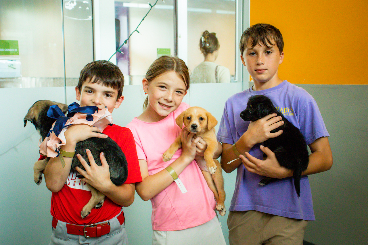 Louisiana SPCA Raises $350,000 Through Second Annual Carnival