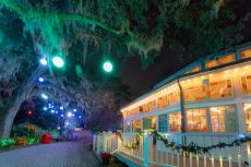 Celebration in the Oaks is Back at City Park for 2024 Season