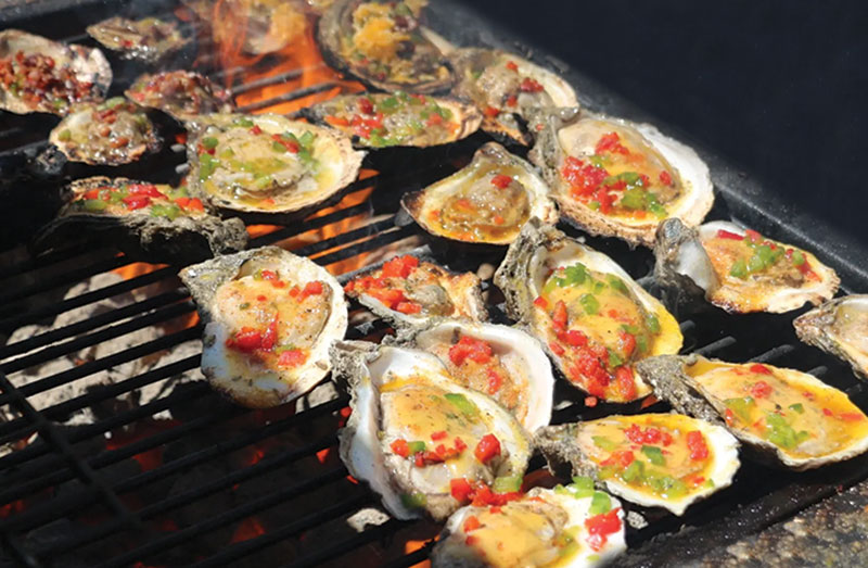 Spring Festivals Guide